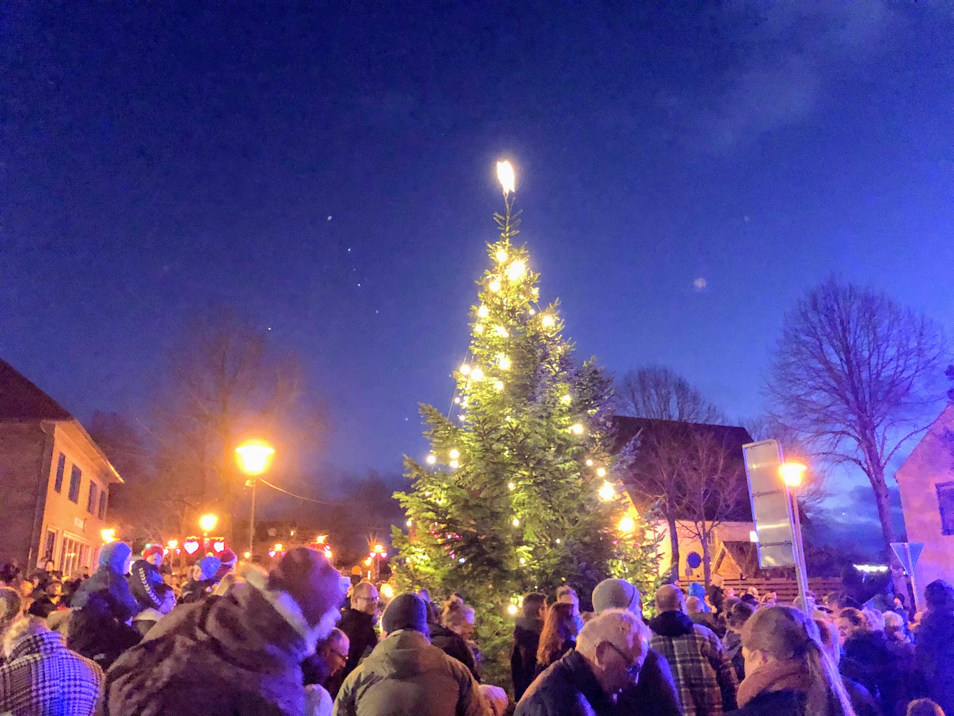 Det store juletræ i Hammel tændes på fredag - Byens Nyt